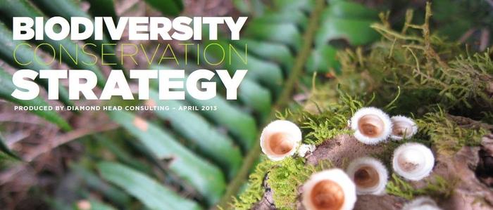 17 Strategies of conservation of biodiversity ideas in 2022 ...