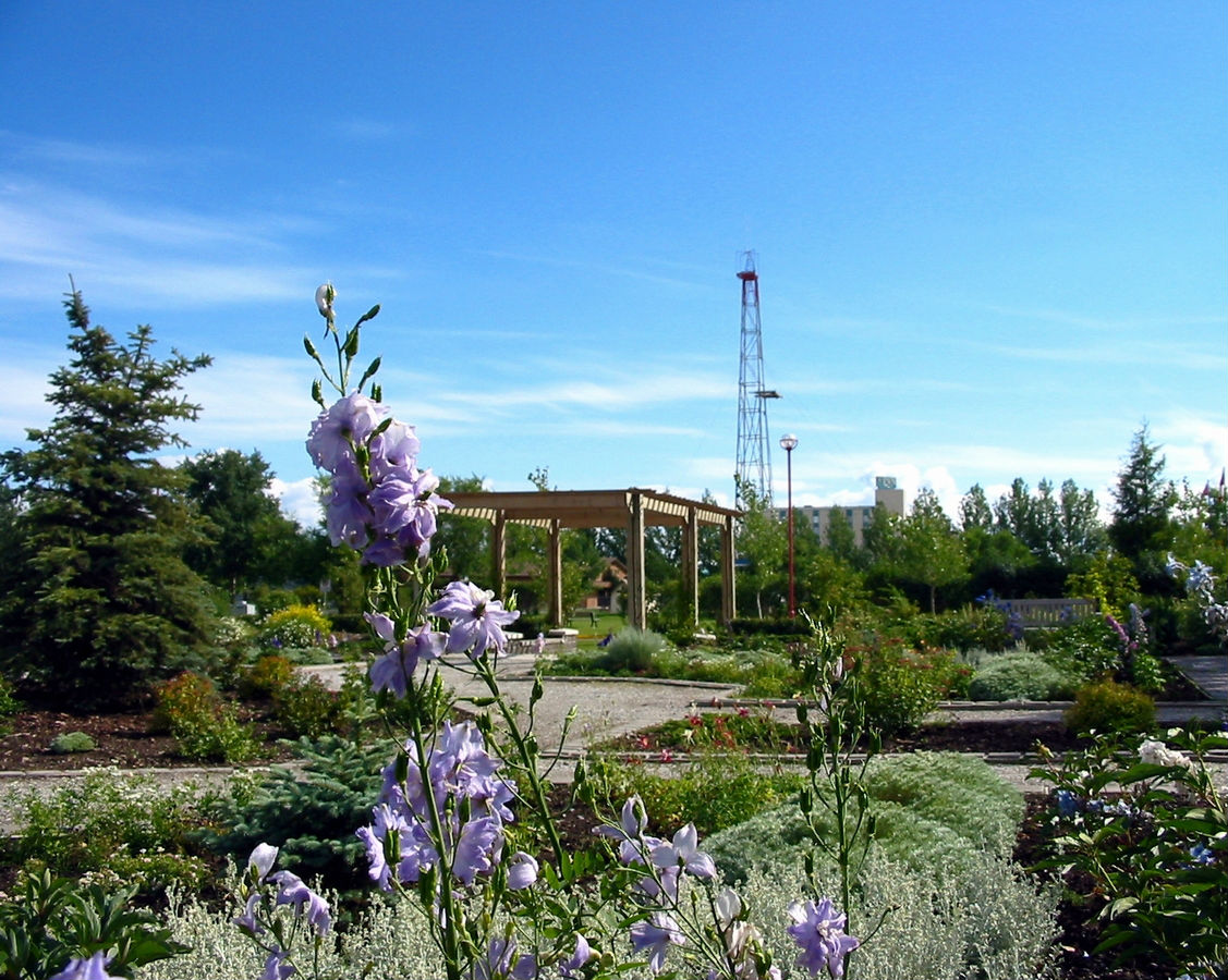 PlaceSpeak - Case Study